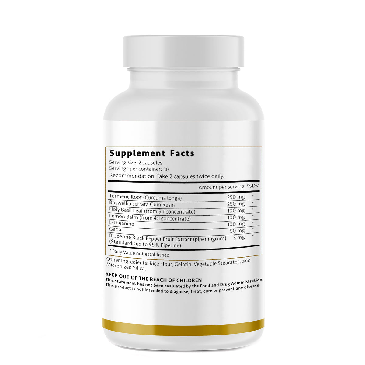 Mind-Body Capsule - MindBodyMatrix